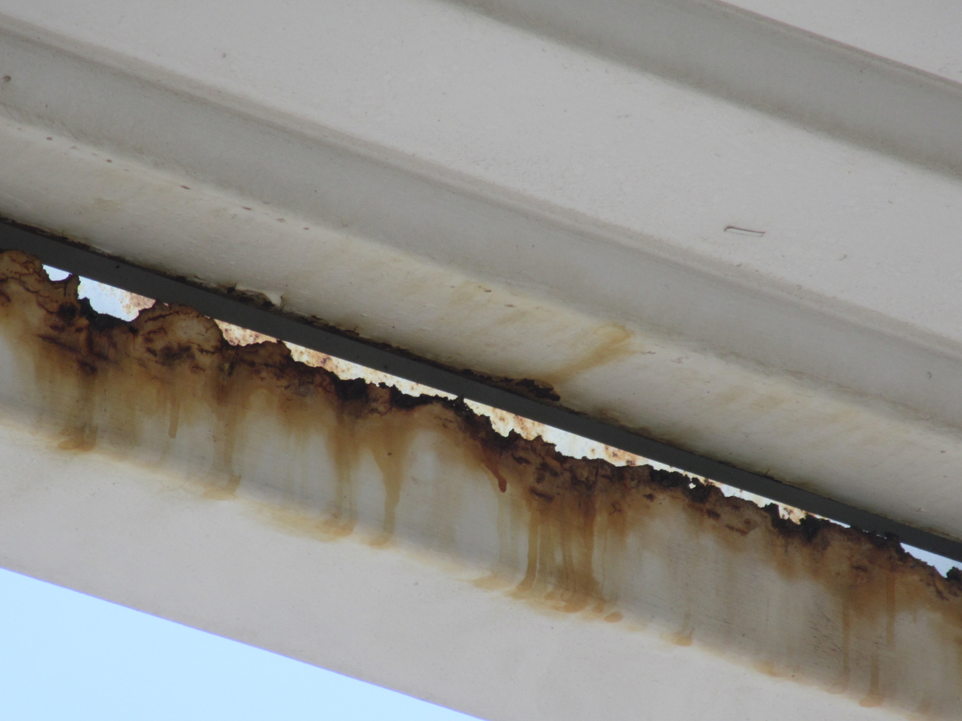 STRUCTURAL INTEGRITY OF CANOPIES - Aerialsense