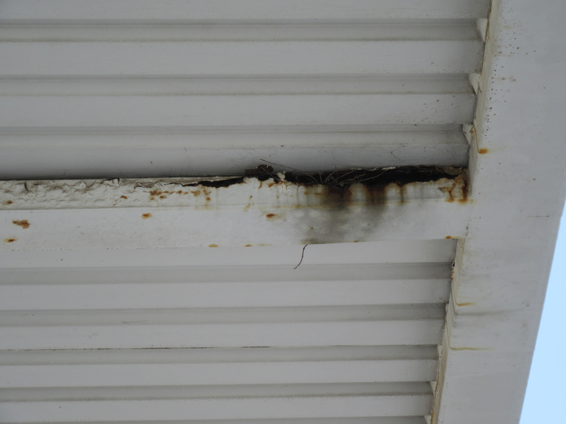 STRUCTURAL INTEGRITY OF CANOPIES - Aerialsense